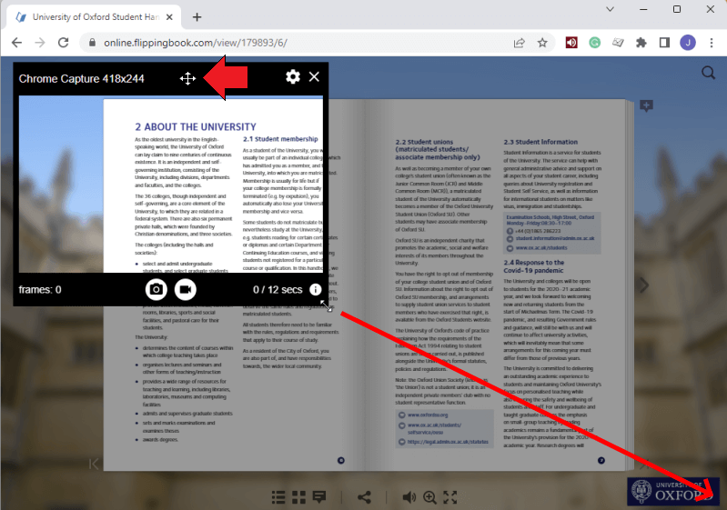 How to create an animated screenshot of your flipbooks? | FlippingBook