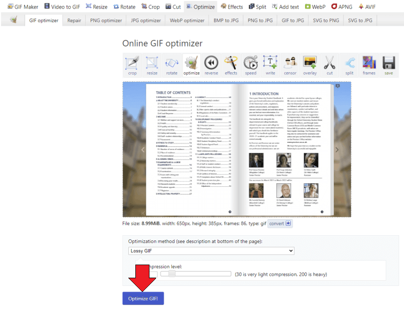How to create an animated screenshot of your flipbooks? | FlippingBook