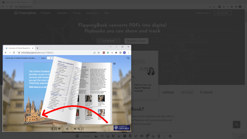 How to create an animated screenshot of your flipbooks? | FlippingBook
