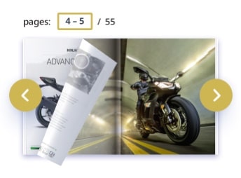 Make Your PDF Interactive | FlippingBook