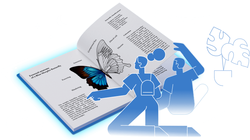 Page Flip Software - Realistic Page Flip Effect for Your PDF | FlippingBook