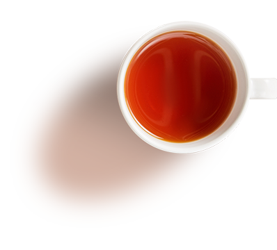 Page Flip Software - Realistic Page Flip Effect for Your PDF | FlippingBook