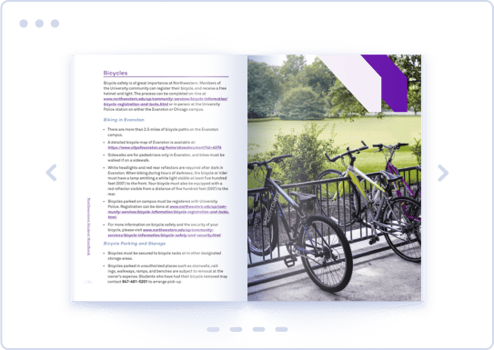 Embed Flipbook into Website with Ease | FlippingBook